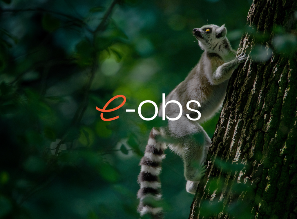e-obs - INTO Branding